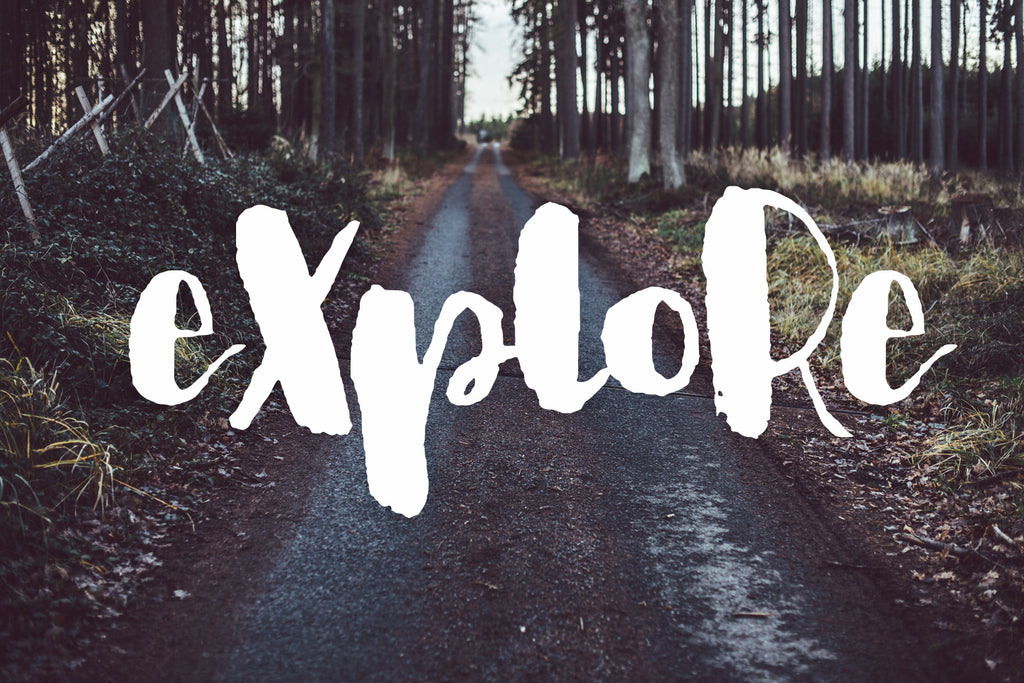 Plum Brush Script Regular – Out Of Step Font Company